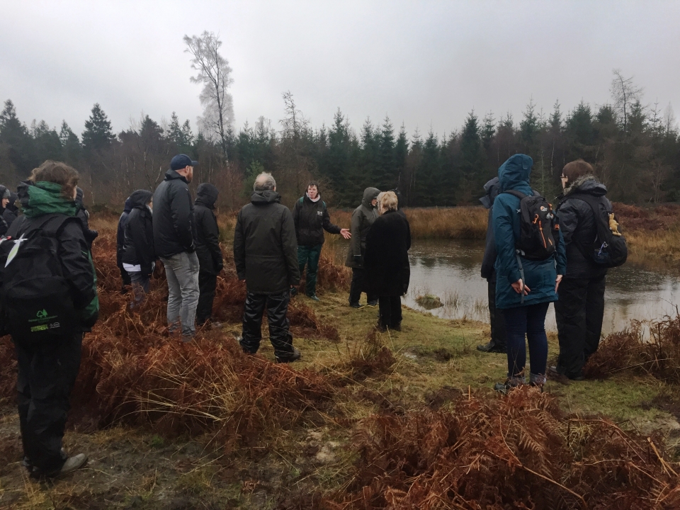 Teachers learn how to use the Forest as a giant teaching resource ...