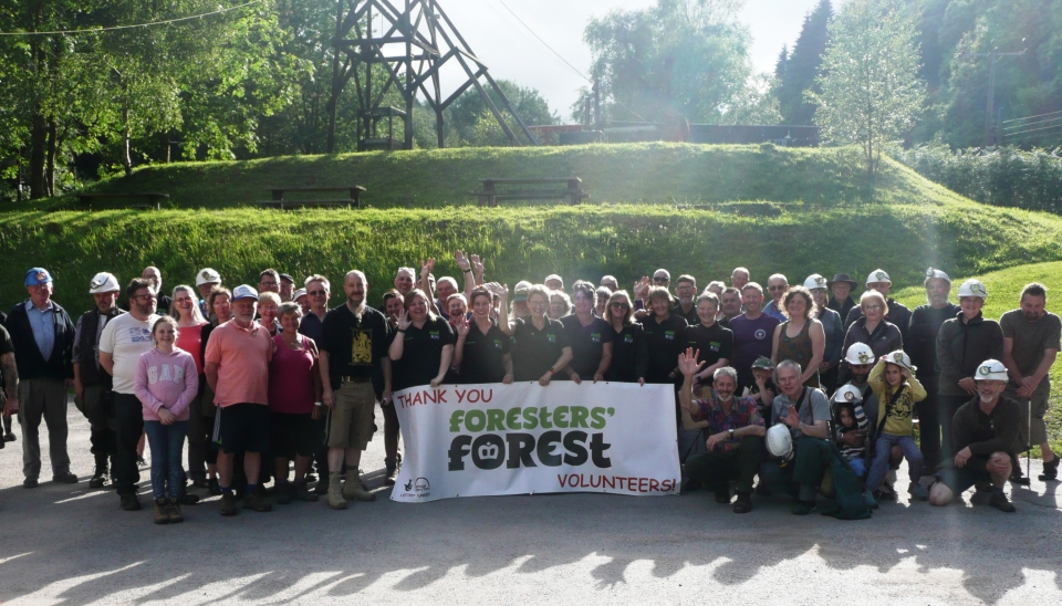 Thanking our volunteers - News - Foresters' Forest - Our Forest, Our ...