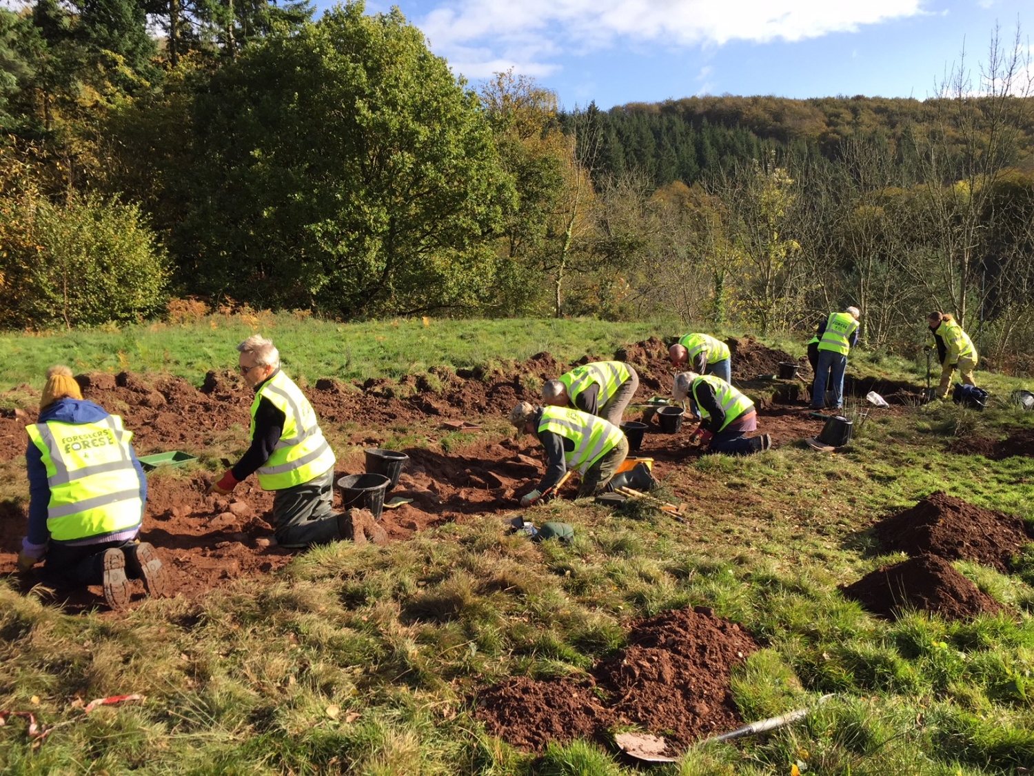 Forest Dialect - Projects - Foresters' Forest - Our Forest, Our ...