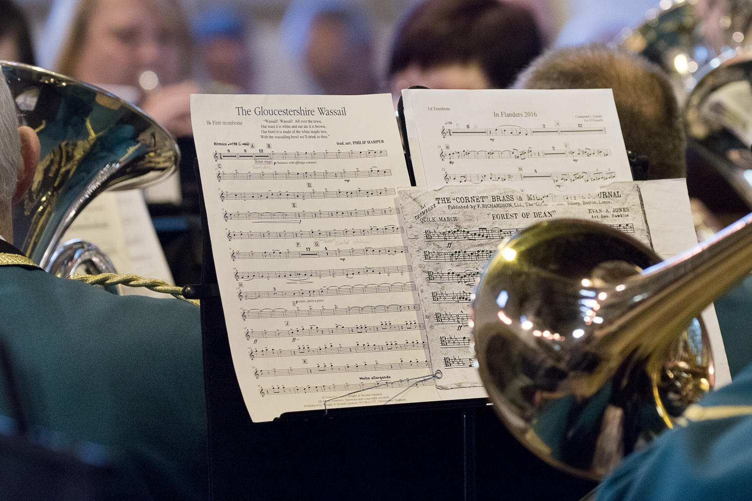 Forest Musical Landscape - Projects - Foresters' Forest - Our Forest ...