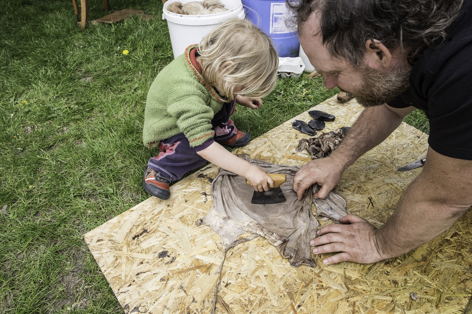 Forest Dialect - Projects - Foresters' Forest - Our Forest, Our ...