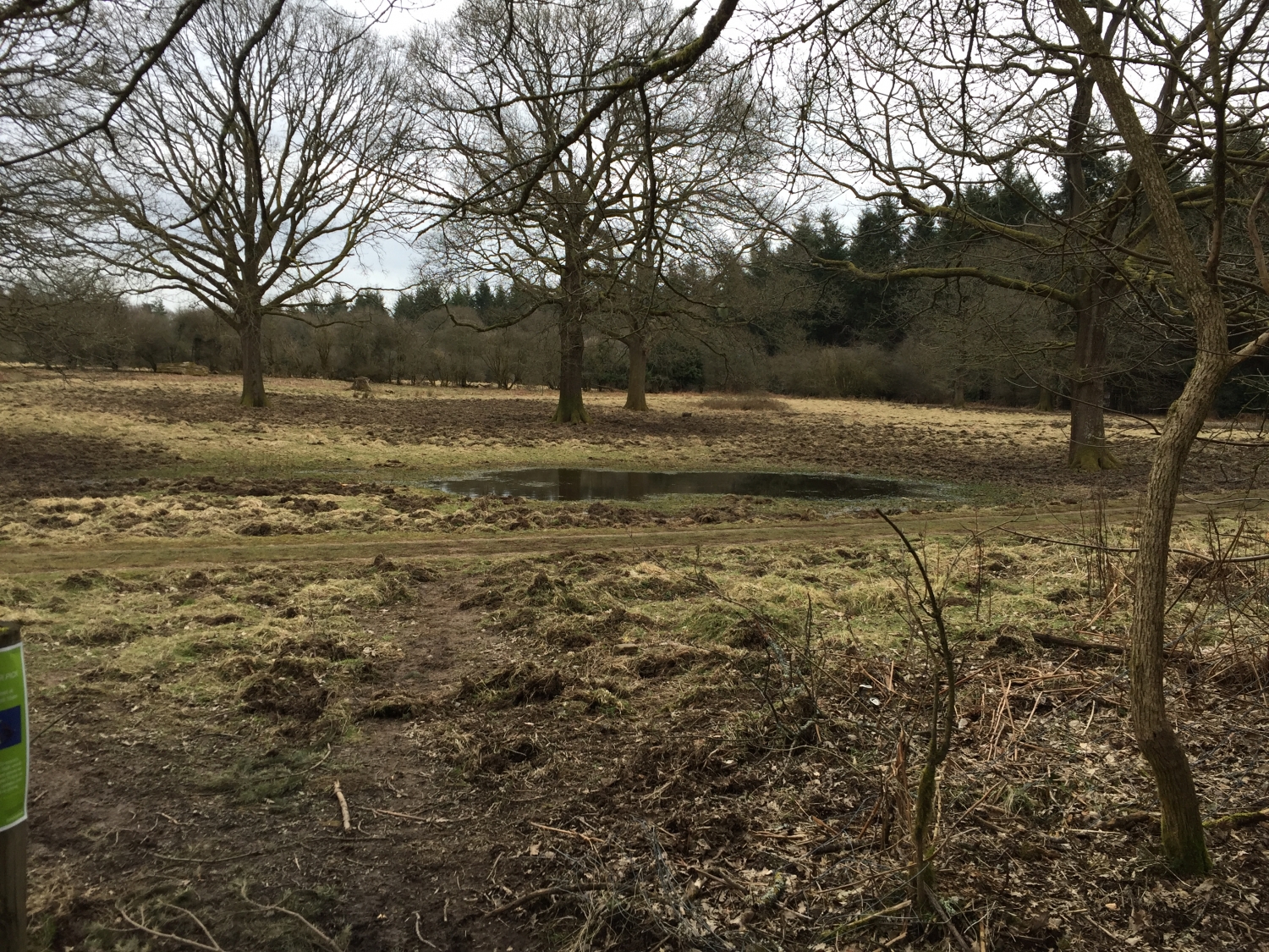 Bixslade Geocache Trail - Projects - Foresters' Forest - Our Forest ...